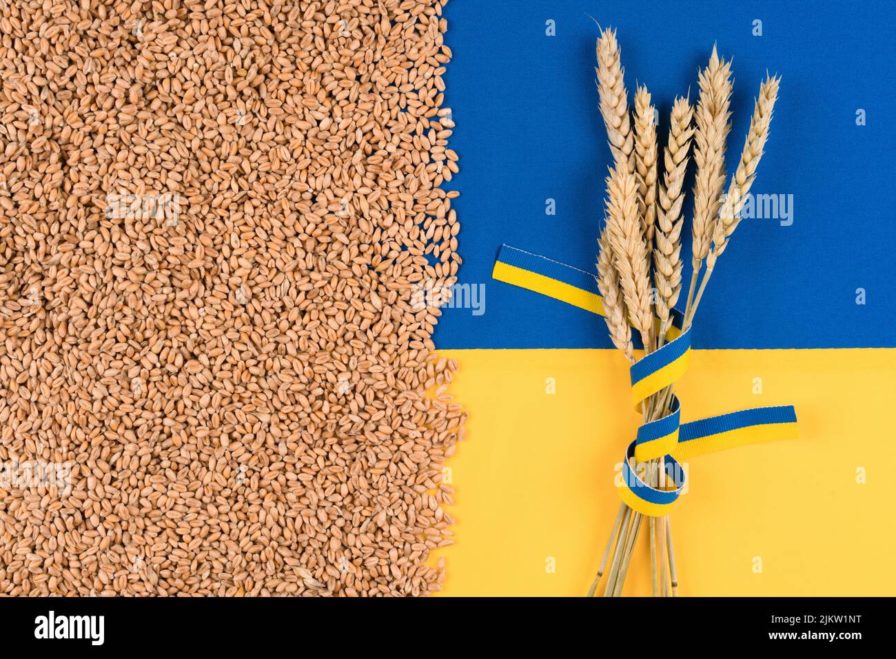 Sheaf of wheat with grain over Ukrainian blue and yellow flag. Global ...