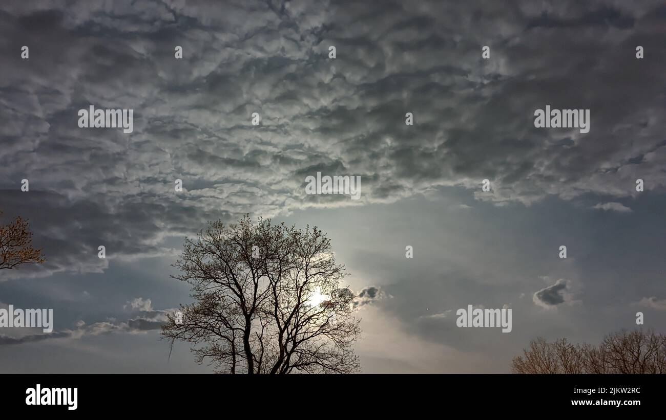 Long Exposure under Full Moon with magnificent Clouds Stock Photo - Alamy
