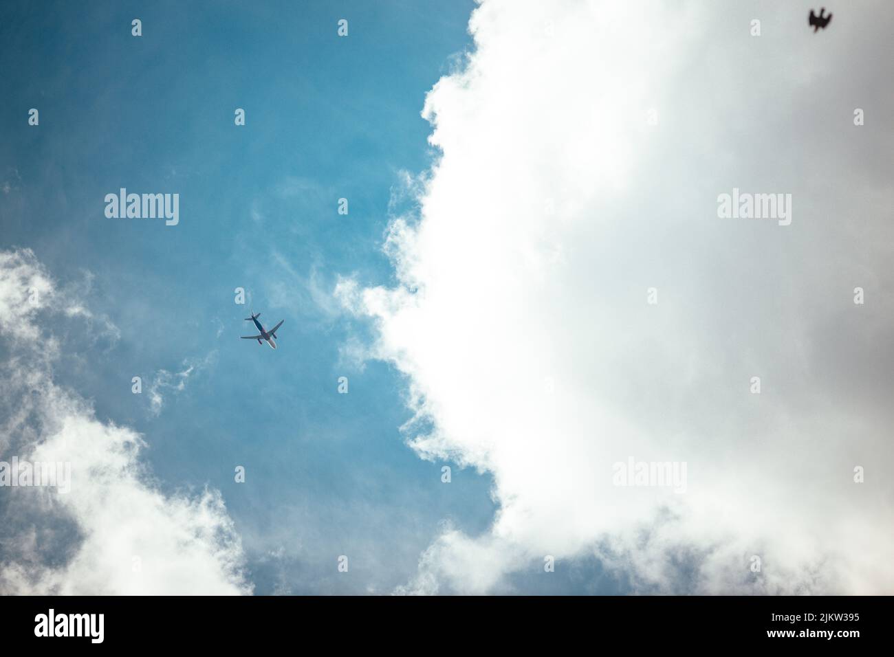 Airplane ground view hi-res stock photography and images - Alamy