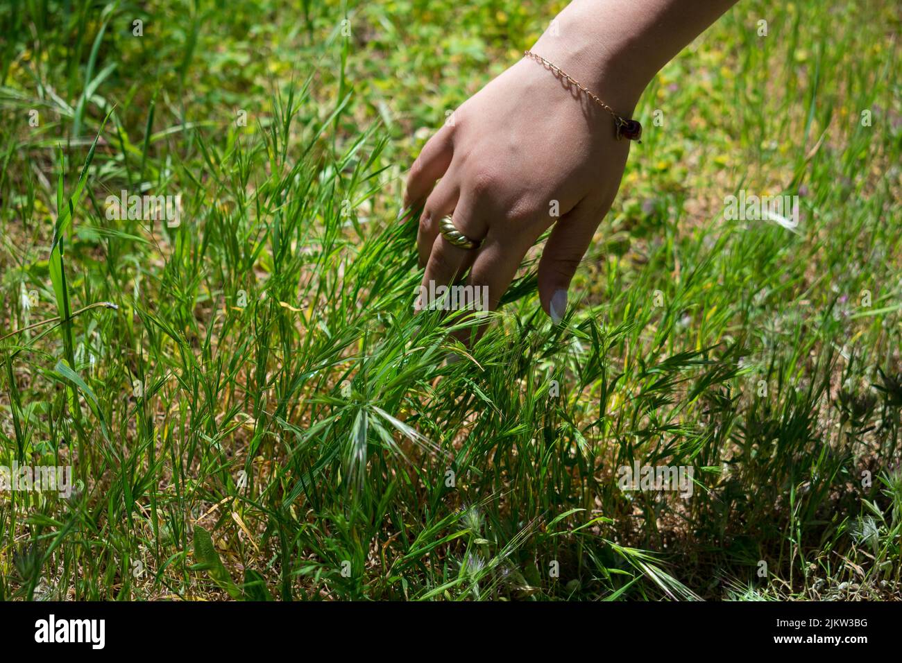 Female hand grabbing pile hi-res stock photography and images - Alamy