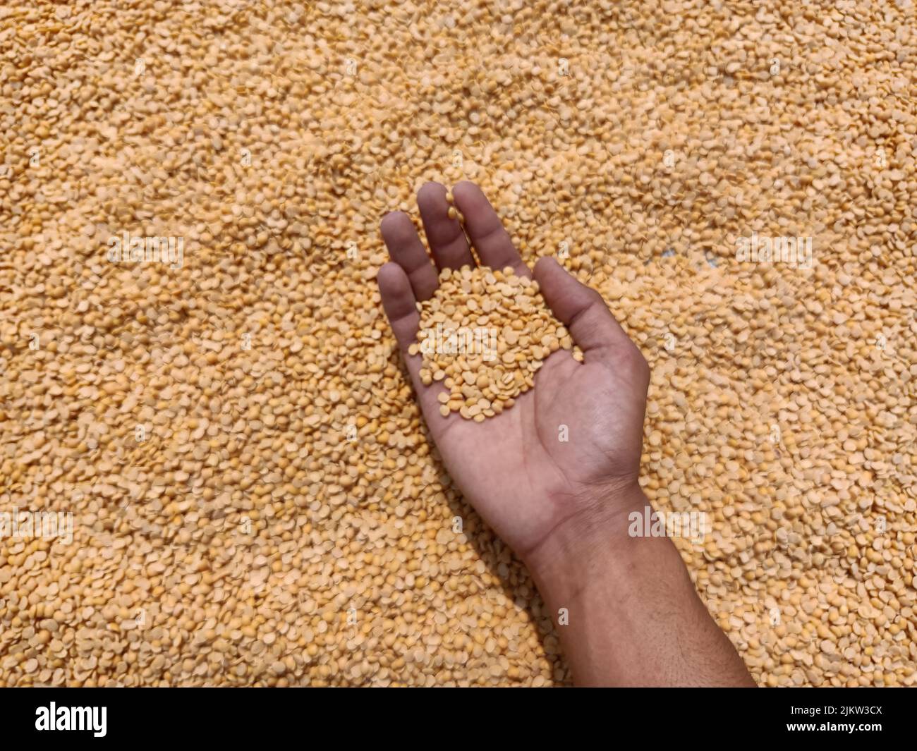 Gunga pea hi-res stock photography and images - Alamy