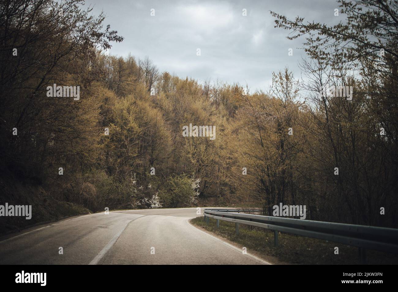 Closeup shot forest road hi-res stock photography and images - Alamy