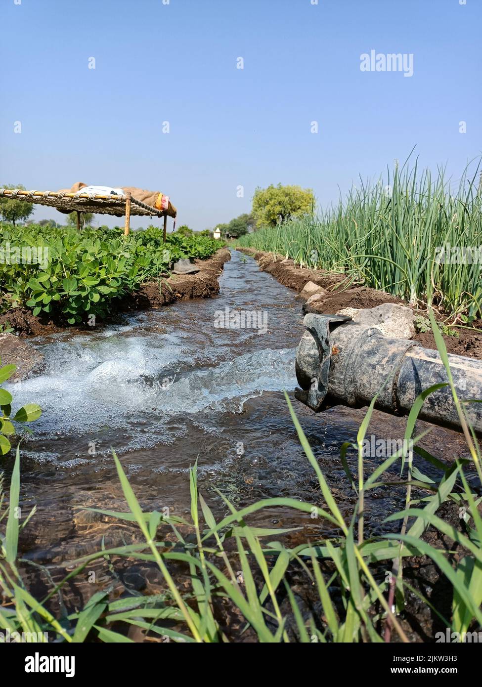 Indian irrigation system hi-res stock photography and images - Alamy