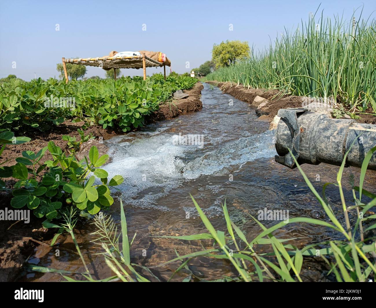 Irrigation canal india hi-res stock photography and images - Alamy