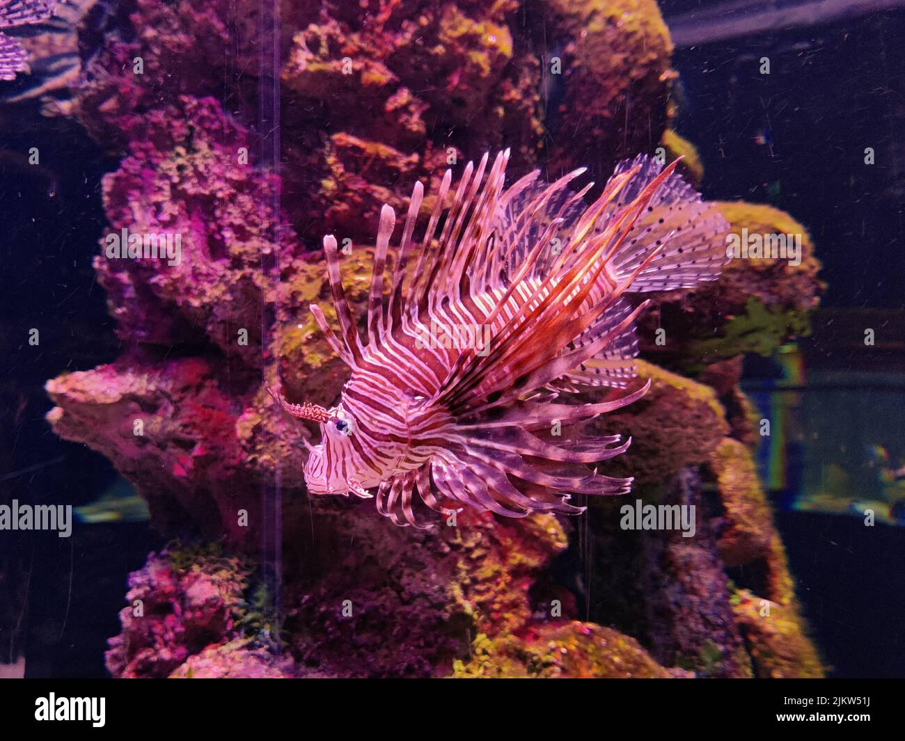 I go to nature to be soothed and healed, and to have my senses put in ...