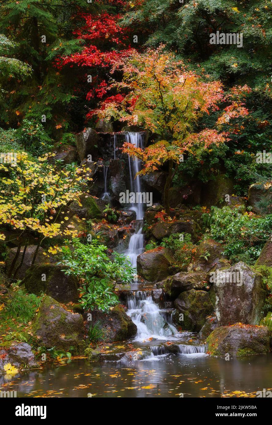 A vertical shot of a waterfall in a forest with colorful leaves Stock ...