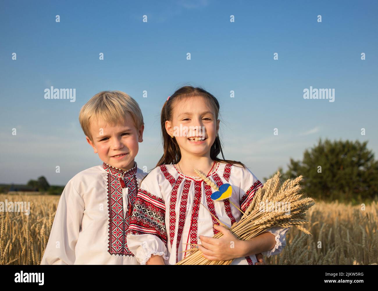 Ukrainian children boy and girl 6-7 years old in national clothes with ...