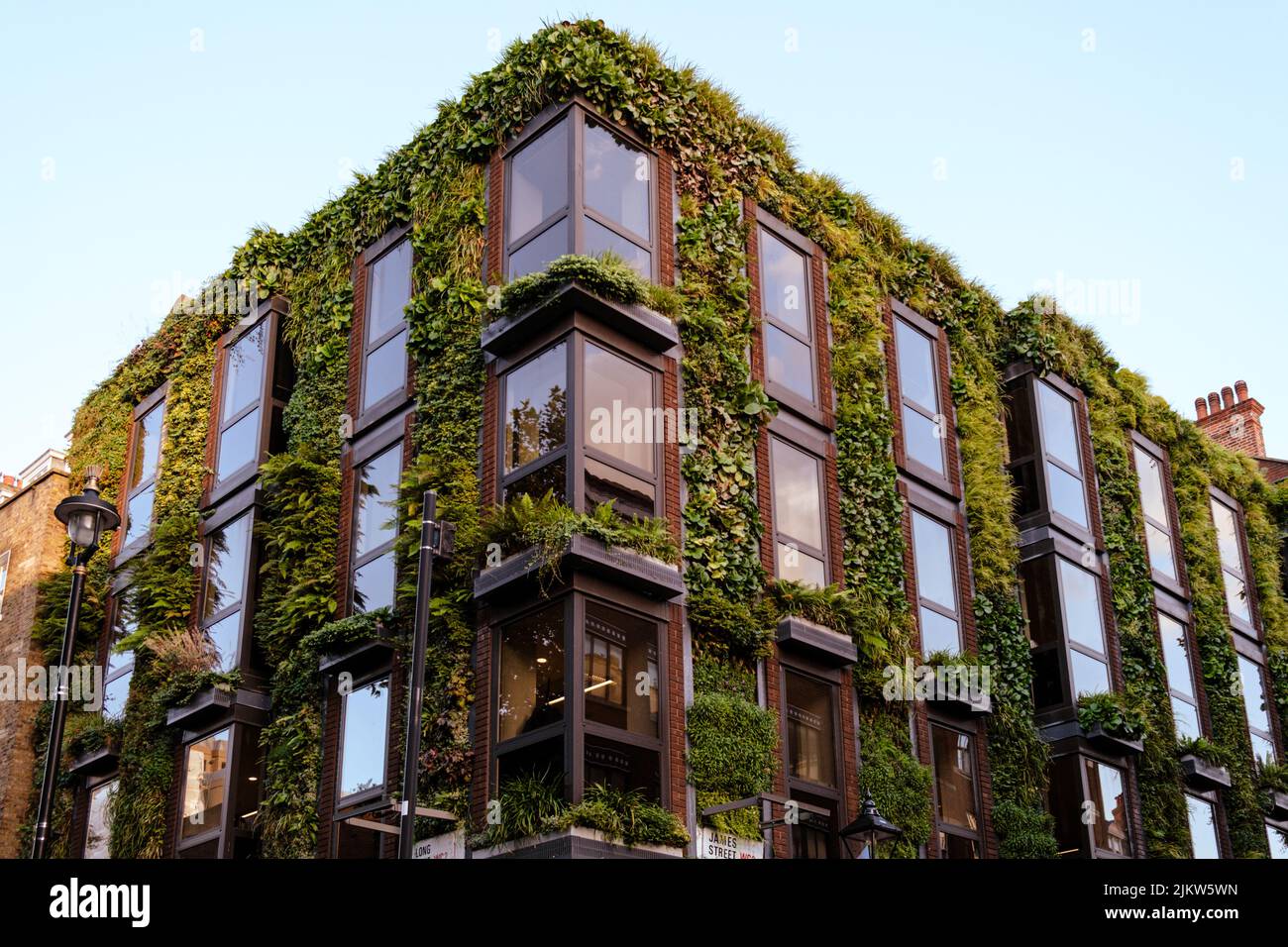 Ivy house growing london hi-res stock photography and images - Alamy