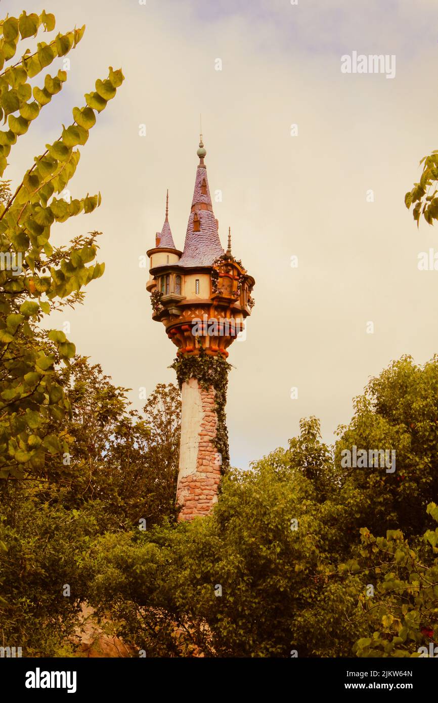 Rapunzel Tower Disneyland
