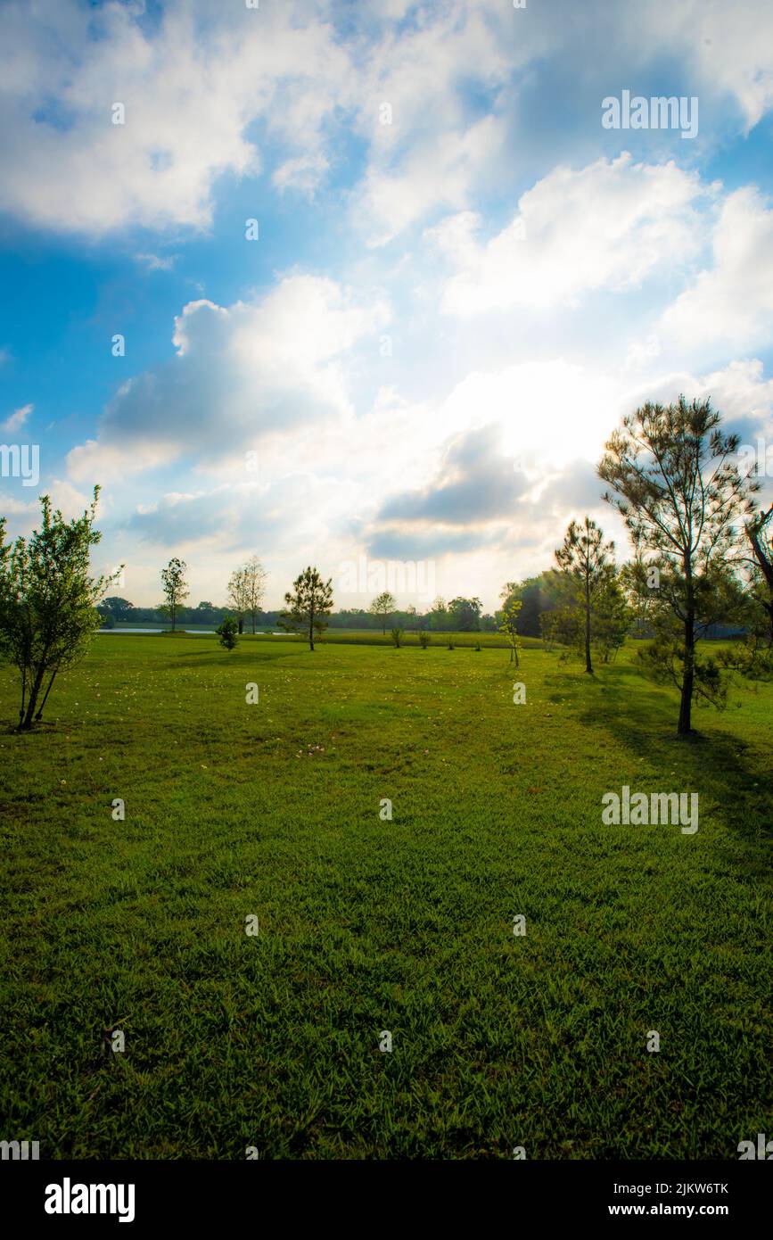 A vertical shot of a bright sunny day over a green field with trees ...