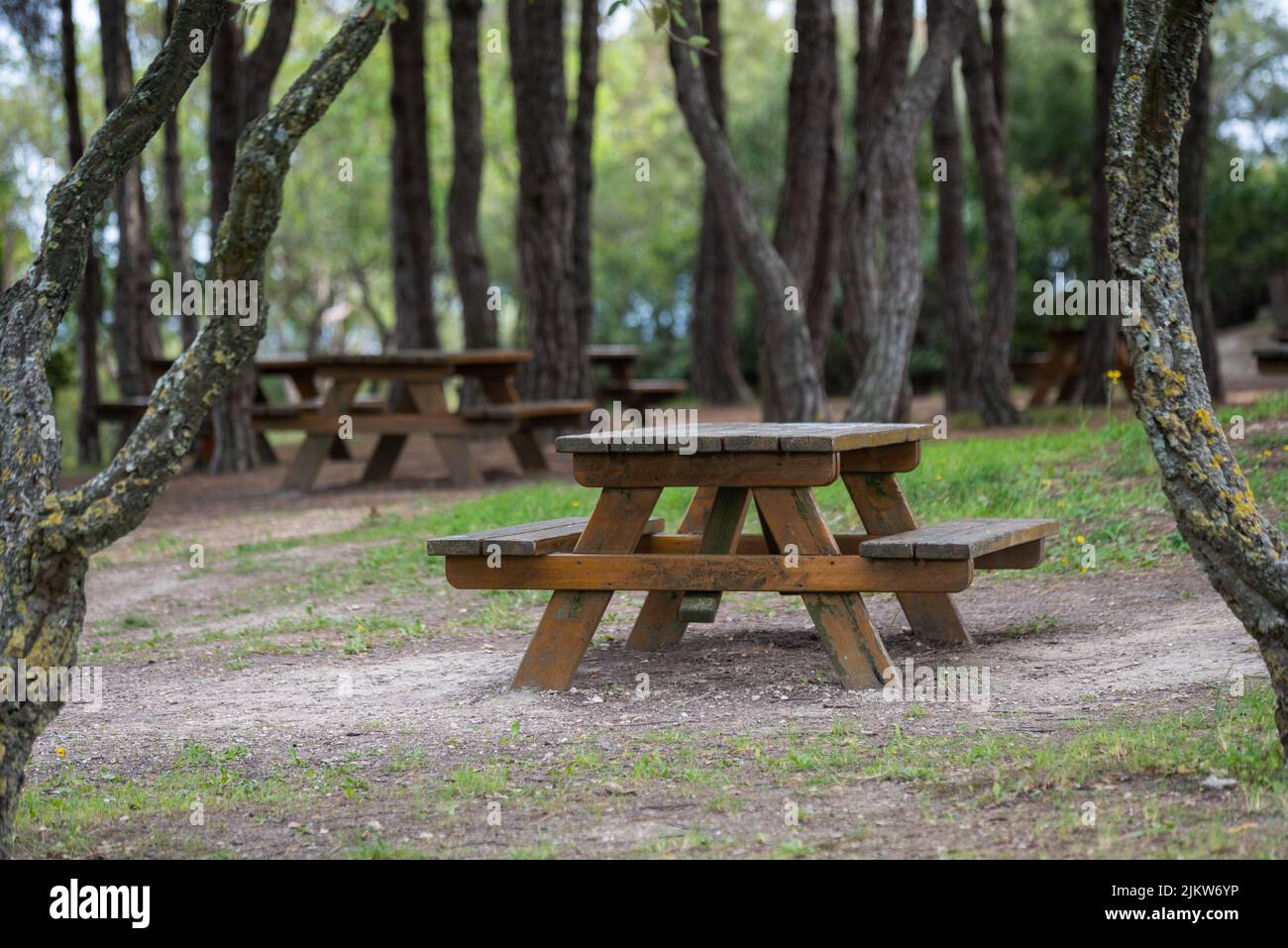 Wooden picnic tables hi-res stock photography and images - Alamy