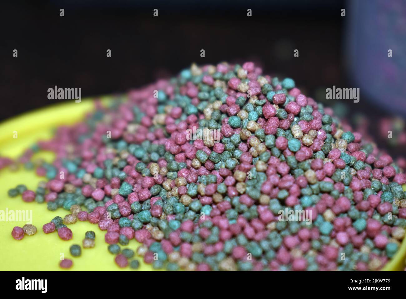 Pets at home fish hi-res stock photography and images - Alamy