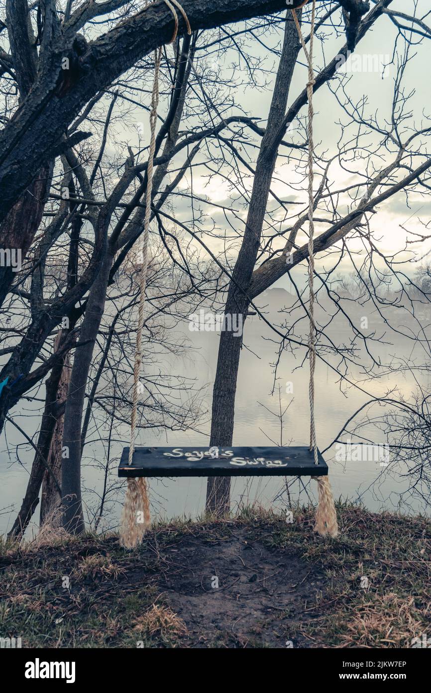 A view of a wooden swing hanging from a tree in a forest Stock Photo ...