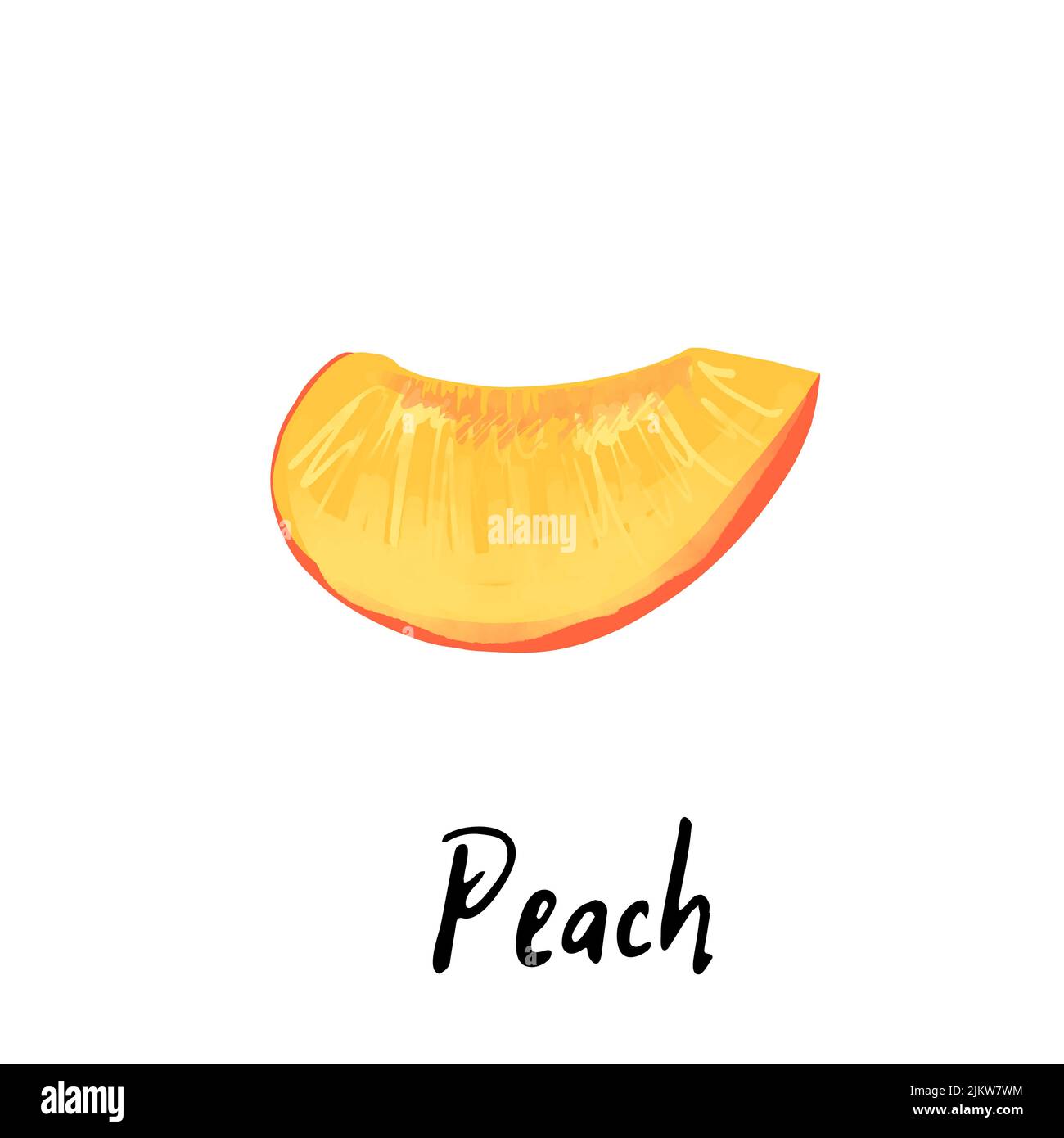 Illustration of a slice peach isolated on a white background Stock ...
