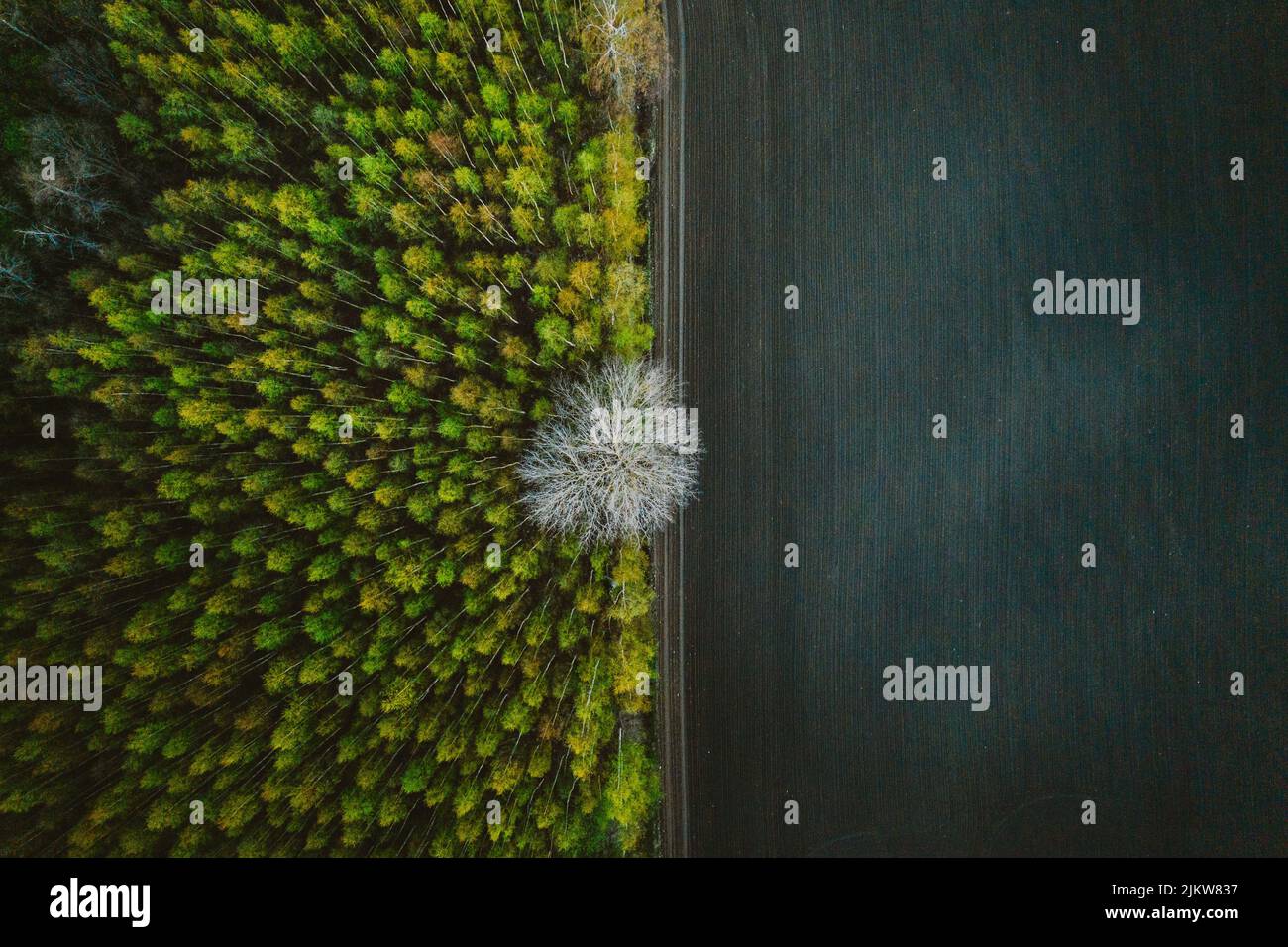 Top down framing hi-res stock photography and images - Alamy