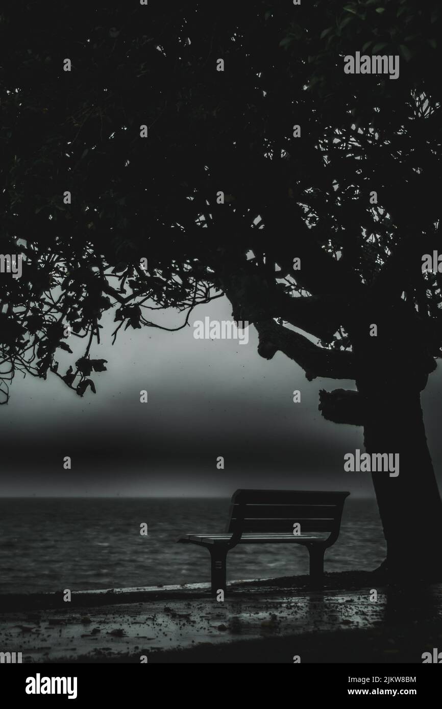 A silhouette of an empty bench under a tree in a park with a dramatic ...