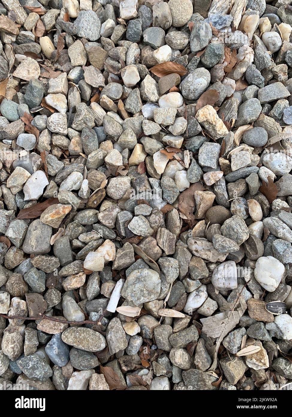 A vertical top view of pebbles of different sizes and shapes Stock ...
