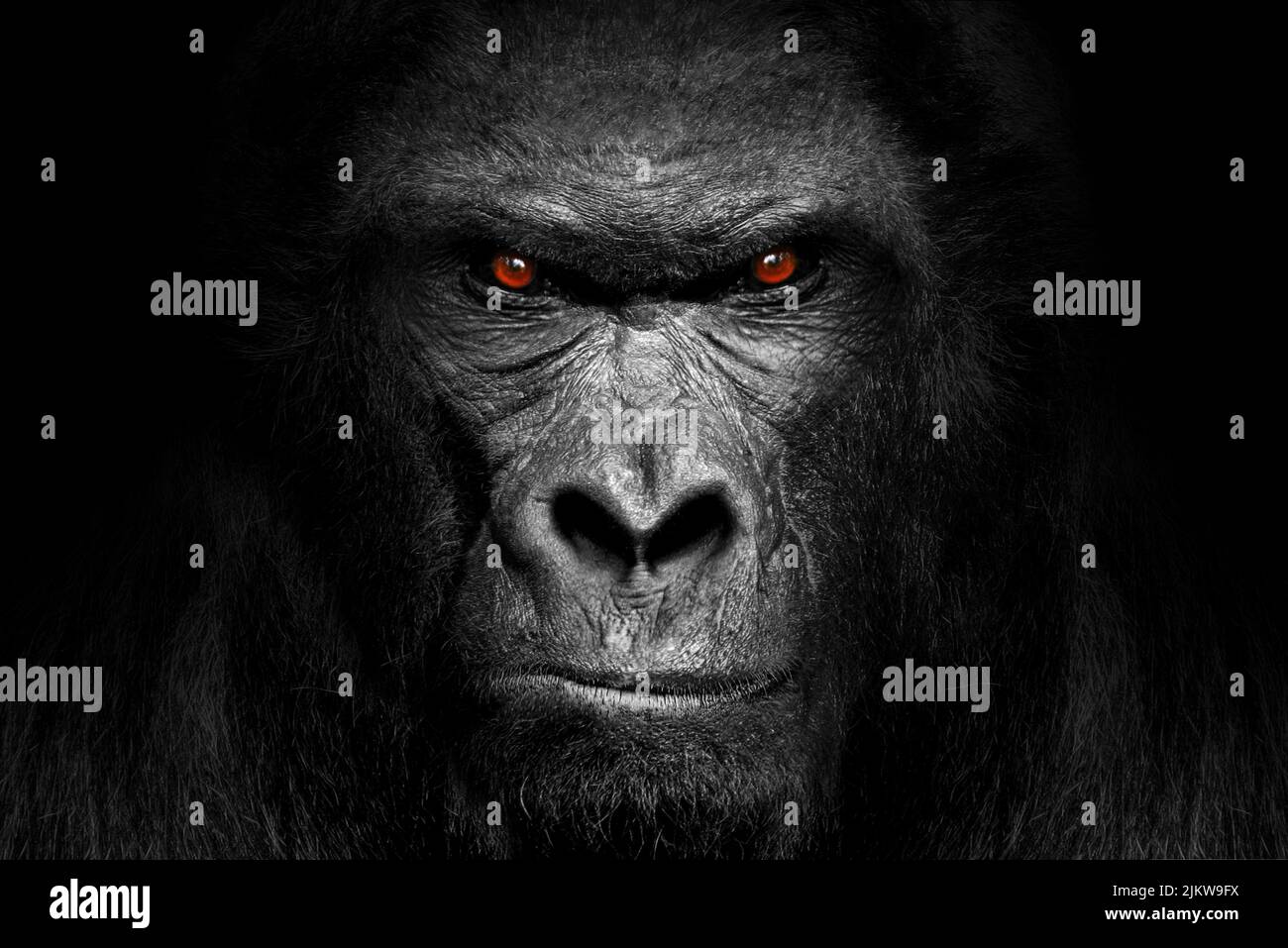 A black gorilla face with red vicious eyes Stock Photo - Alamy