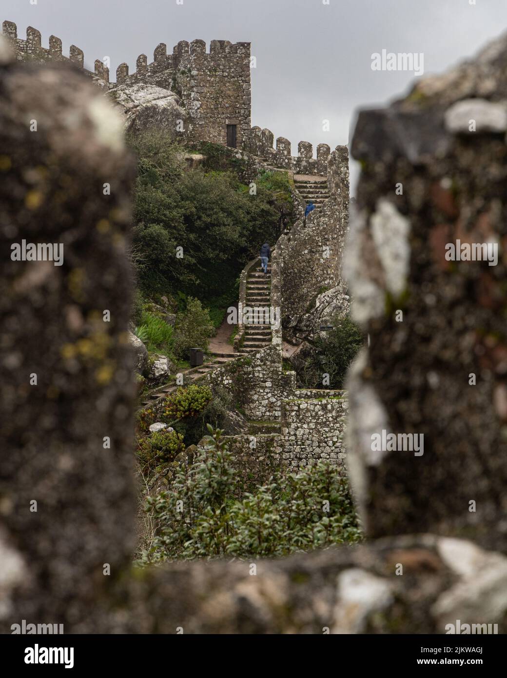 Historic stone wall trees hi-res stock photography and images - Alamy