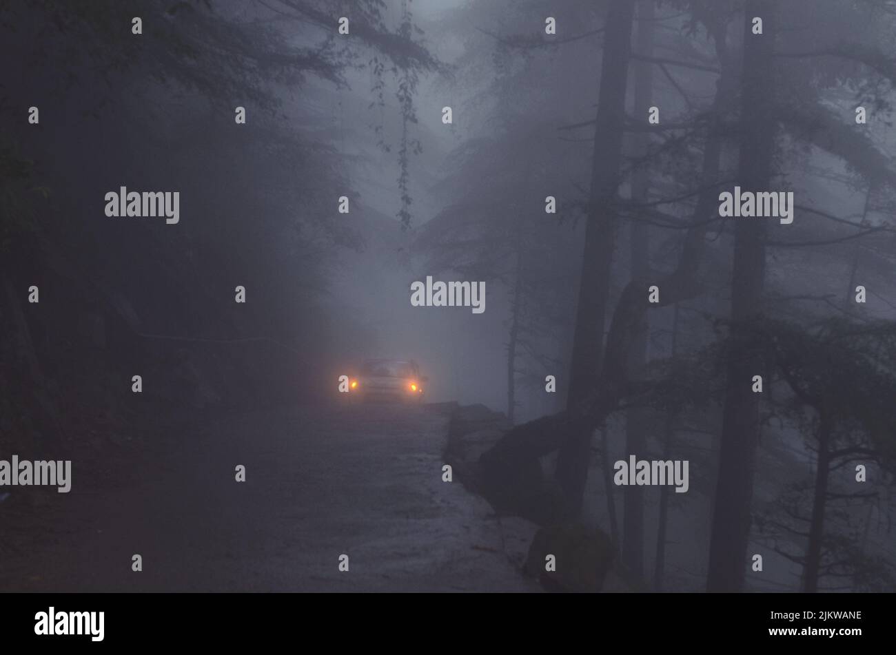 Dark green car hi-res stock photography and images - Alamy