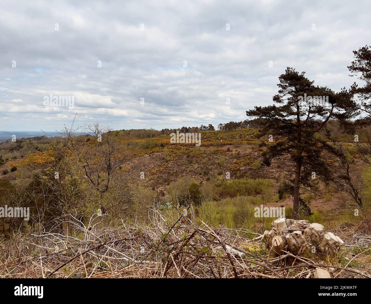 Beauty natural shot beautiful hi-res stock photography and images - Alamy