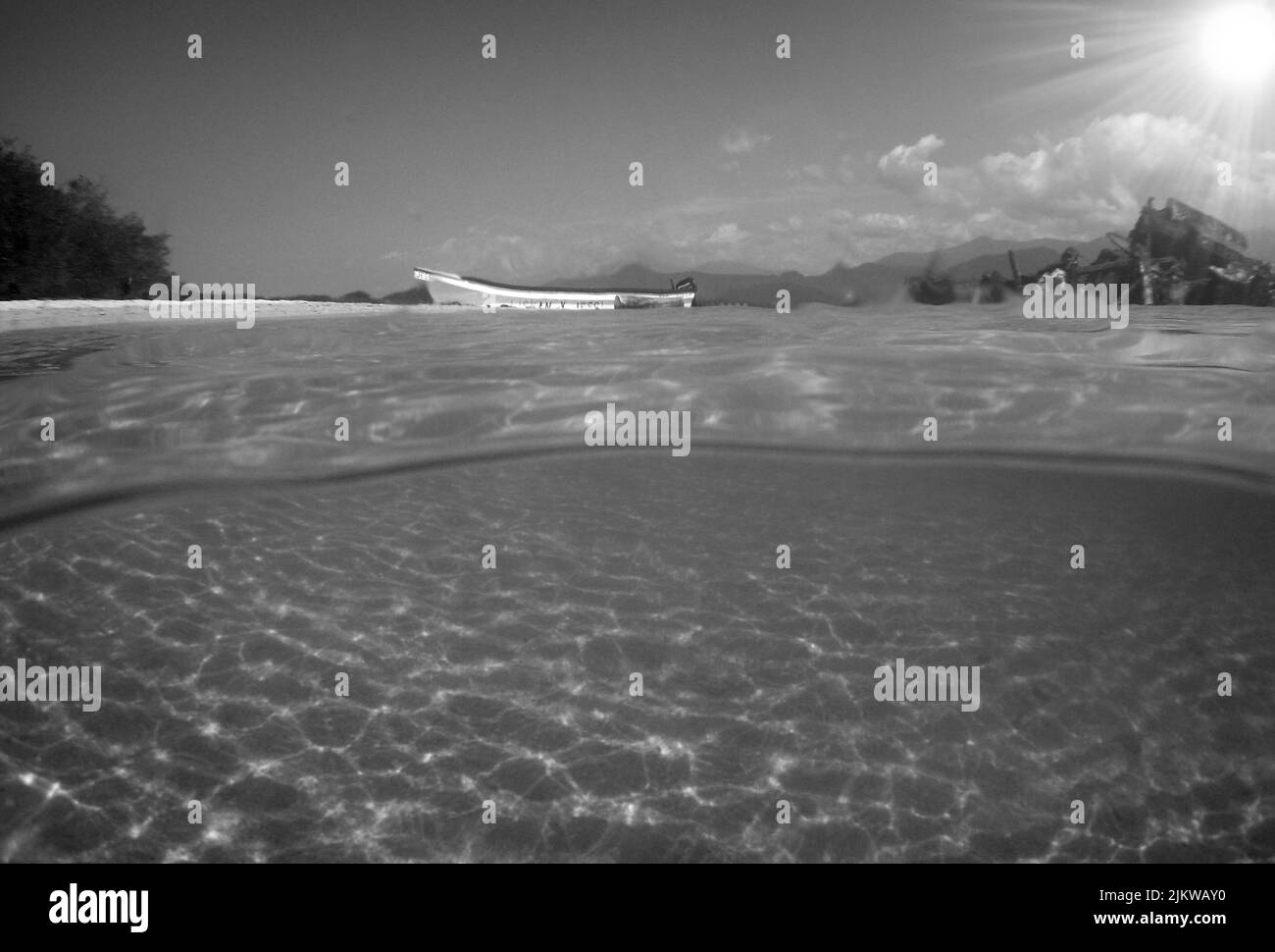 Leaves waving Black and White Stock Photos & Images - Alamy