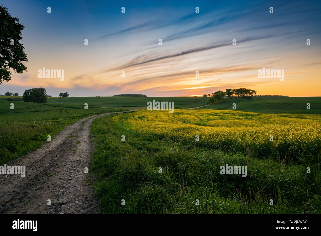 Beautiful summer sunset over field hi-res stock photography and images ...