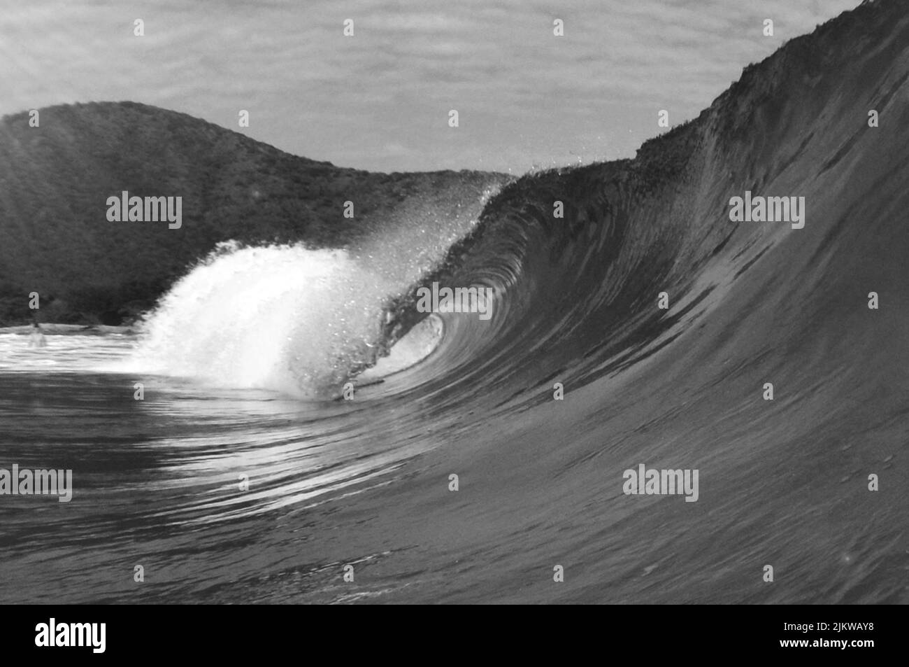 Leaves waving Black and White Stock Photos & Images - Alamy