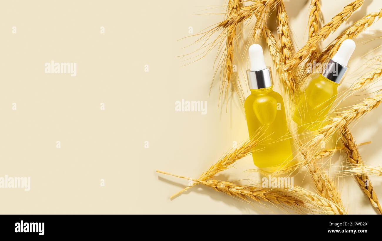 Bottle of body oil with a dropper. A conceptual composition of wheat ...