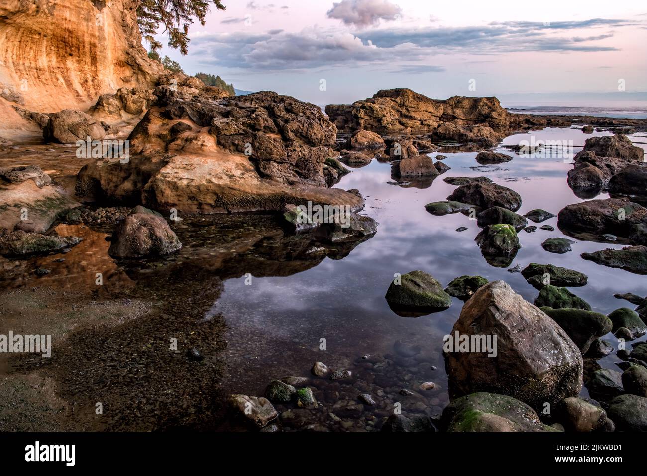 Botanical Beach, Juan de Fuca Trail, Port Renfrew, Vancouver Island, BC ...