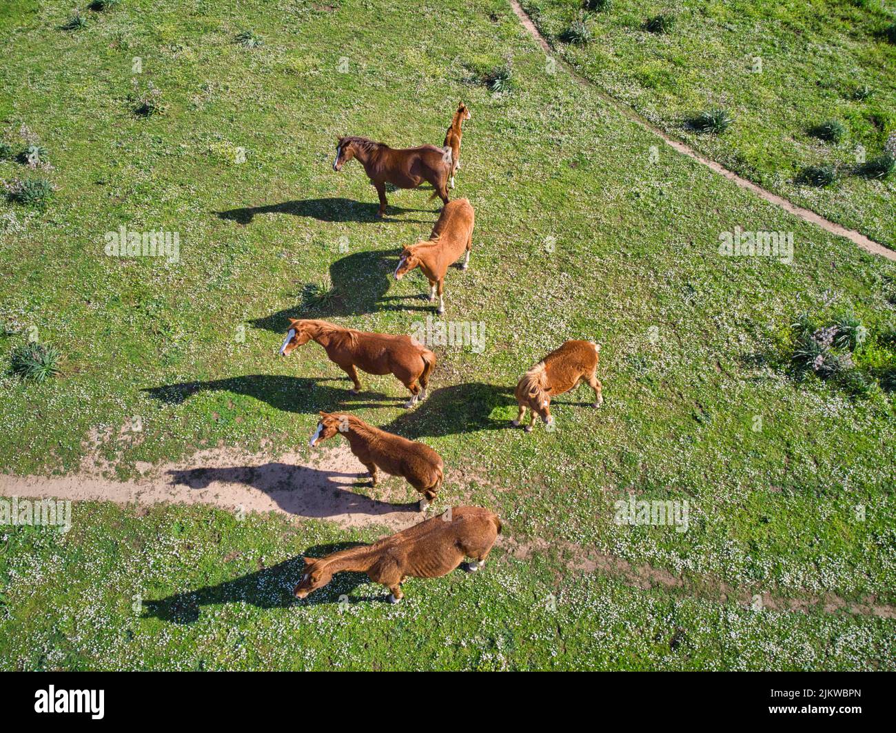 Rural aerial field hi-res stock photography and images - Alamy