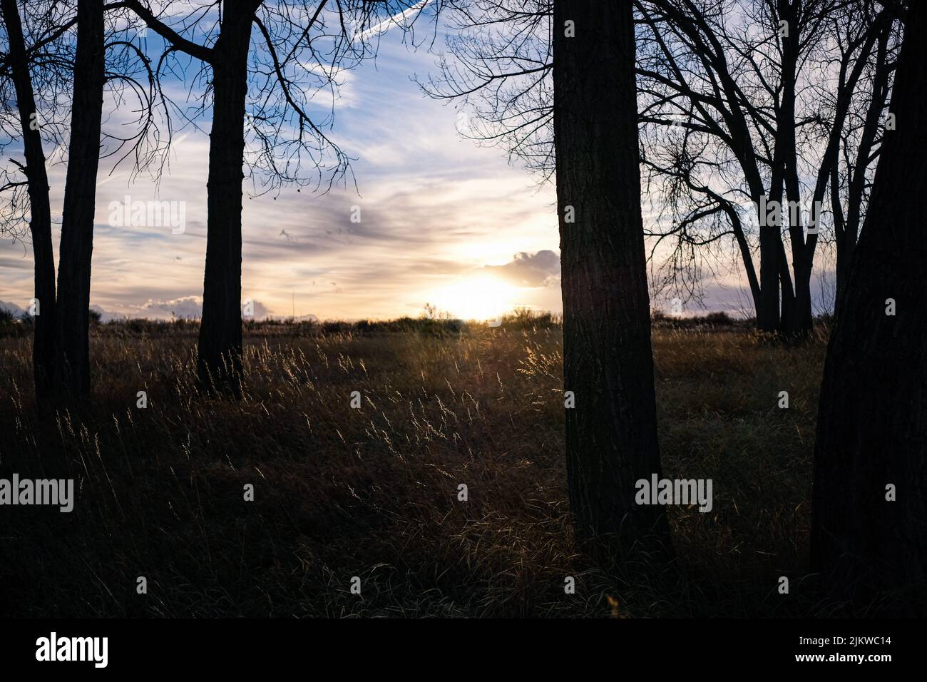 Cherry creek colorado hi-res stock photography and images - Alamy