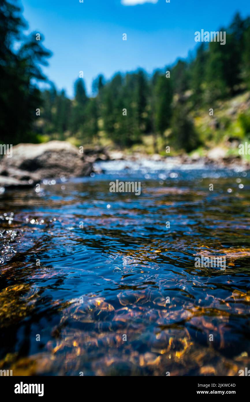 A low angle shot of a beautiful river with rock and trees in the ...