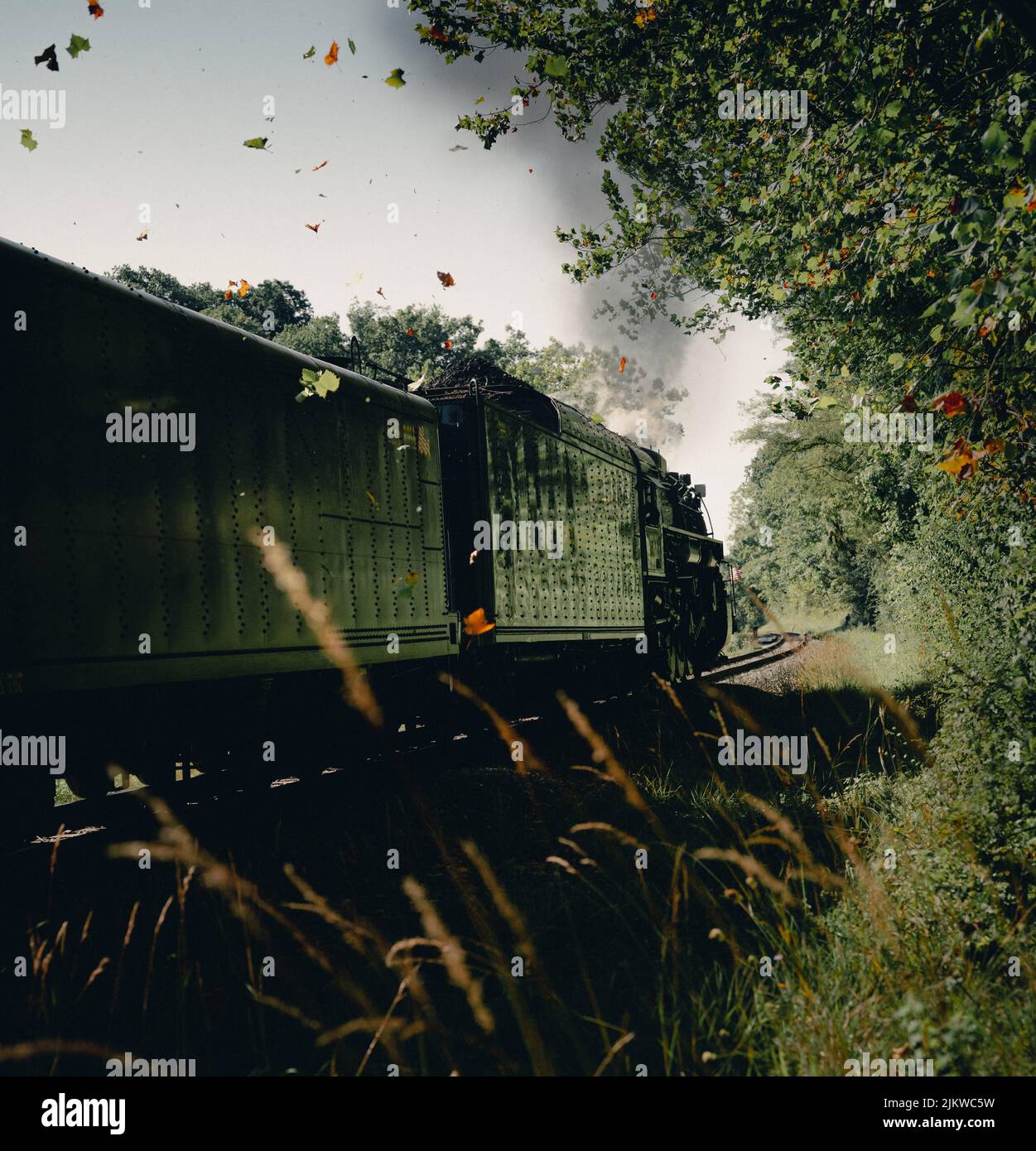 A locomotive with a steam engine on the railway in the dense forest ...