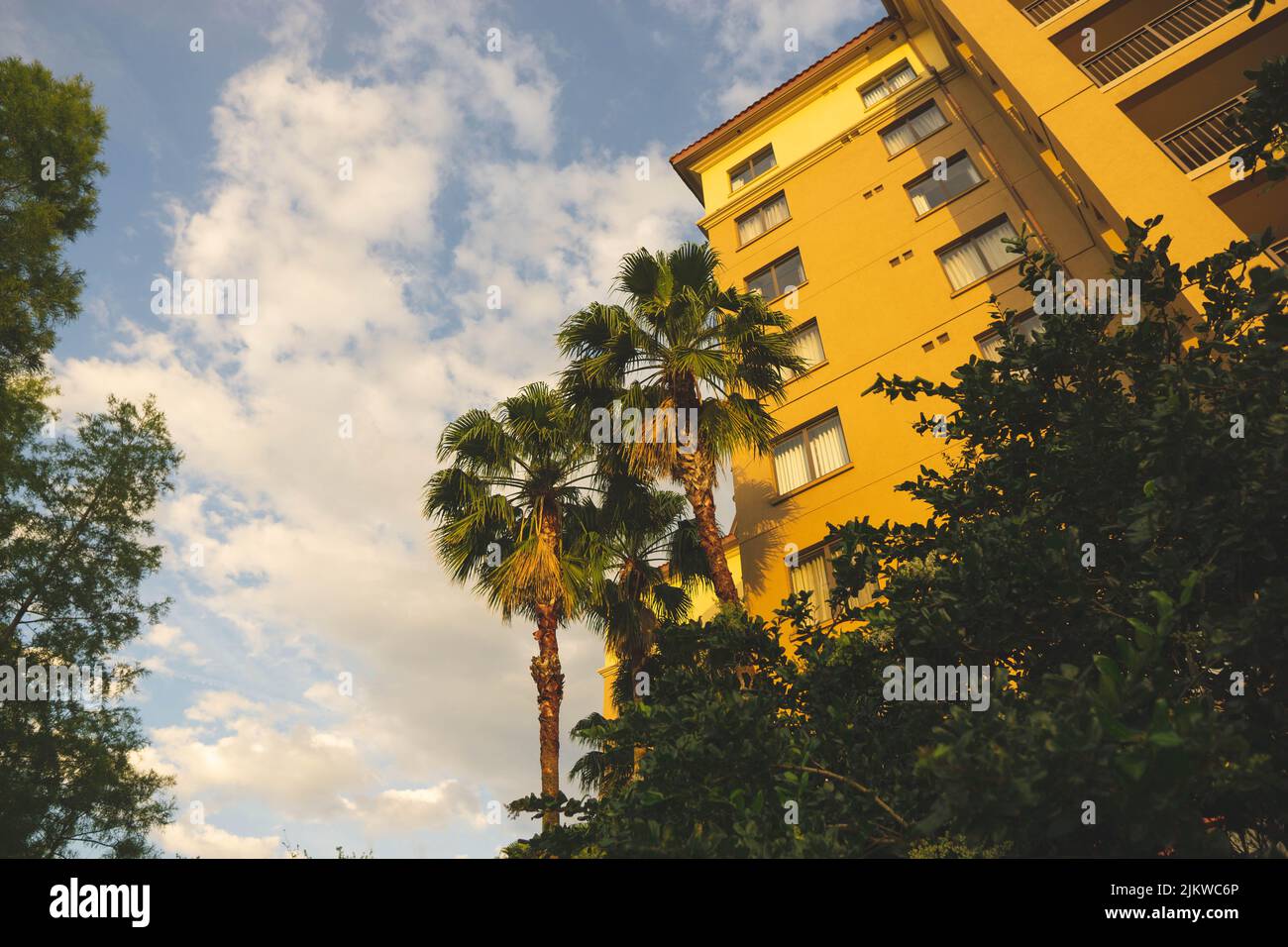 A low angle shot of a residential building with trees and palms Stock ...