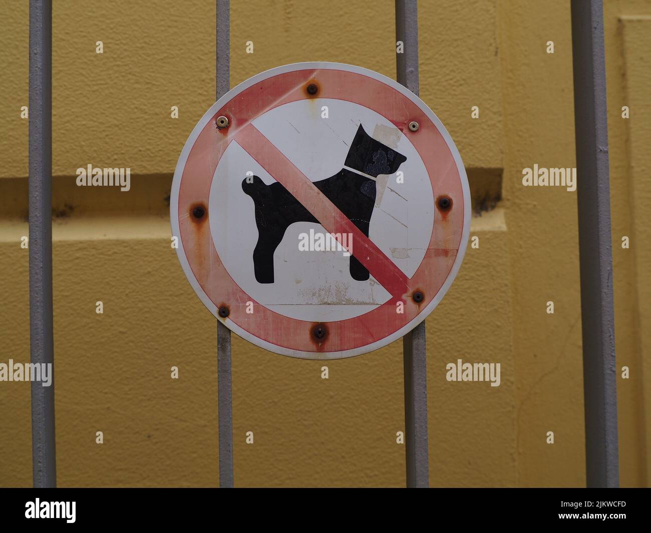old rusty no dogs allowed sign on a fence with yellow wall in the ...