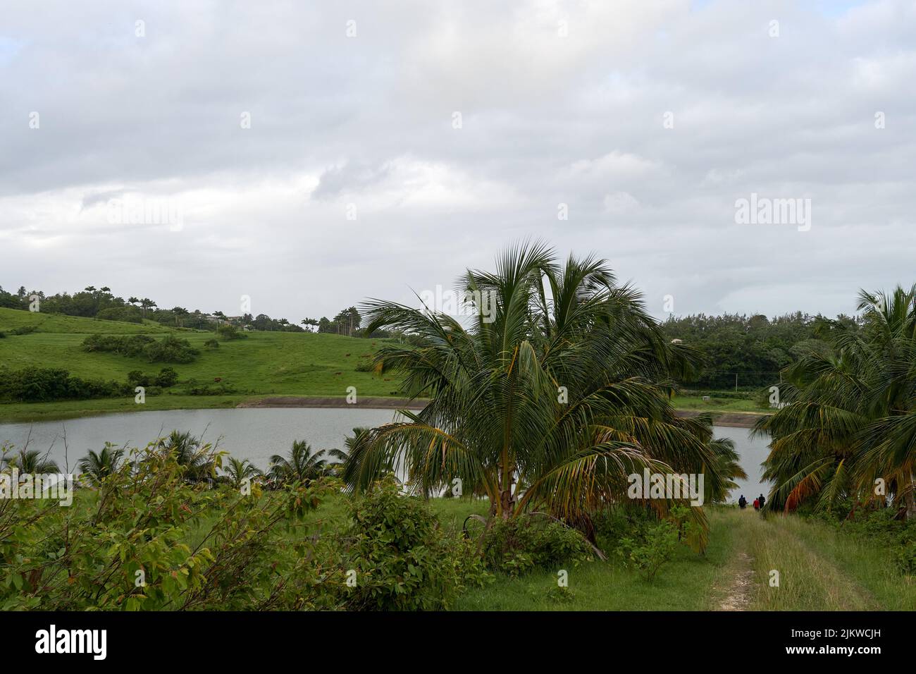 The landscape around the pond hi-res stock photography and images - Alamy
