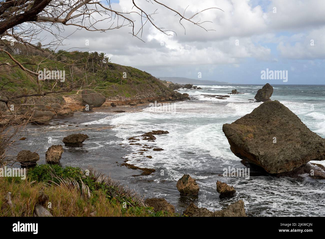 A closeup of rocky shore of a beach with driftwoods against a cloudy ...