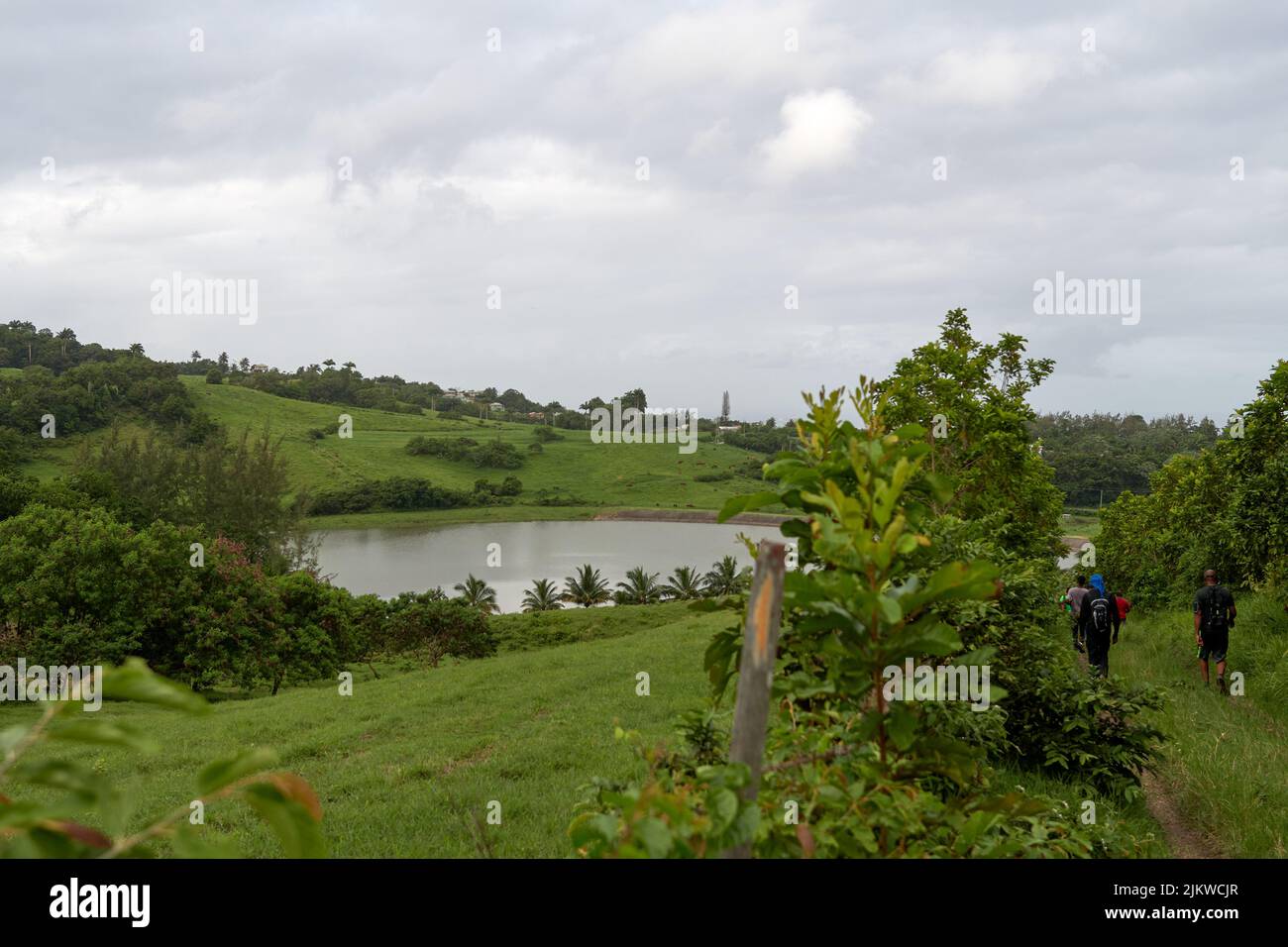 The landscape around the pond hi-res stock photography and images - Alamy