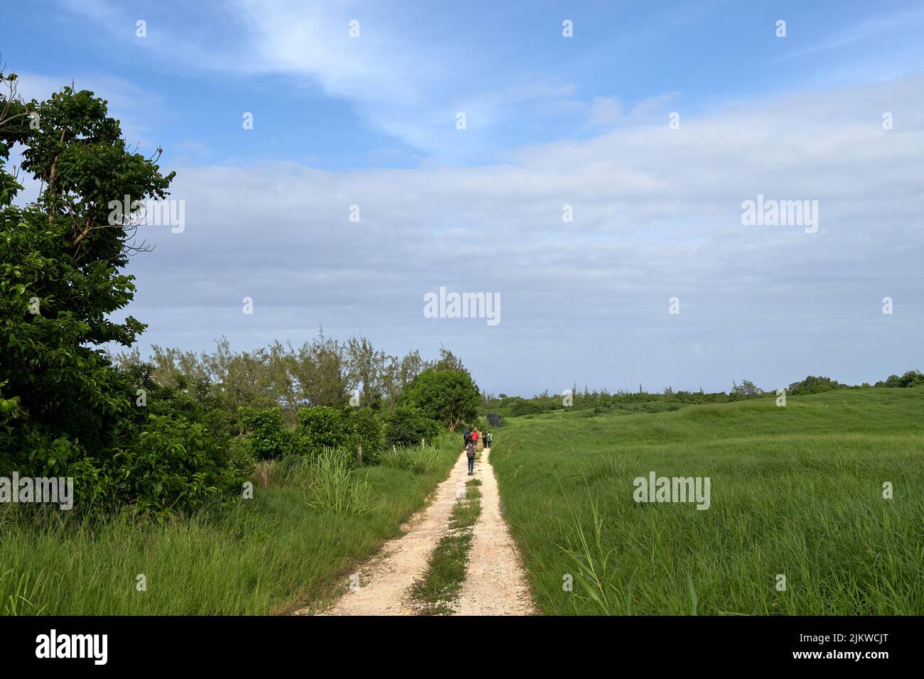 A rear view of travelers walking along the rural field against a cloudy ...