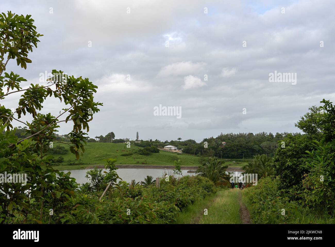The landscape around the pond hi-res stock photography and images - Alamy