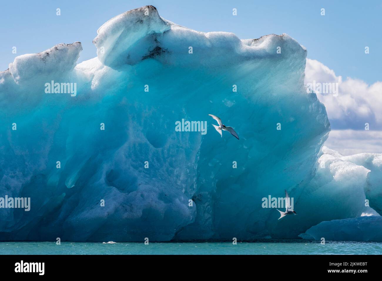 The Vatnajokull on the Iceland, ice flowing on the water, birds flying ...
