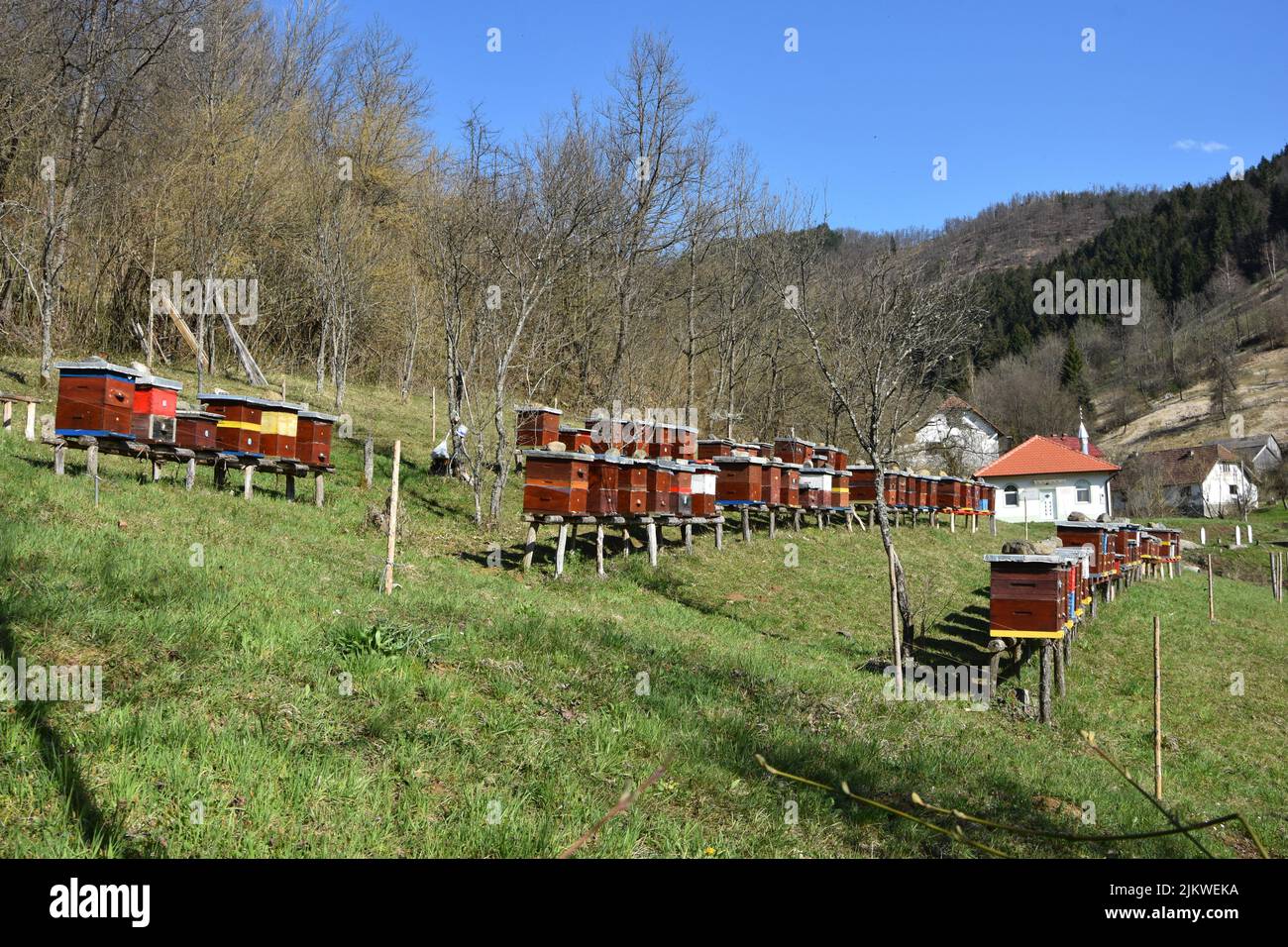 A picturesque view of hillside bee hive boxes and buildings Stock Photo ...