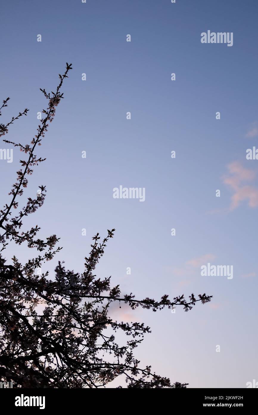 beautiful colored photograph of a spring object Stock Photo - Alamy