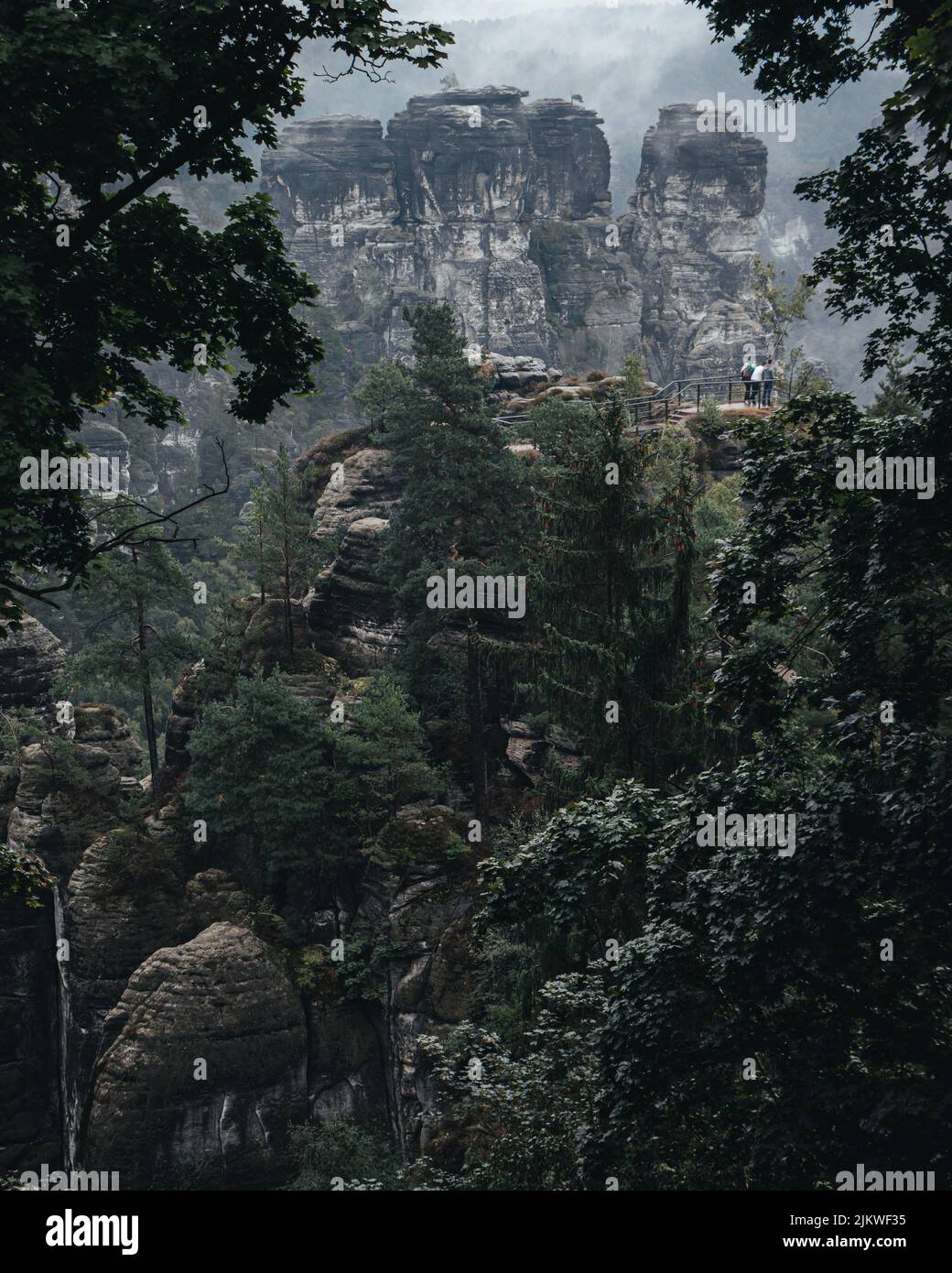 Saxon switzerland trees hi-res stock photography and images - Alamy