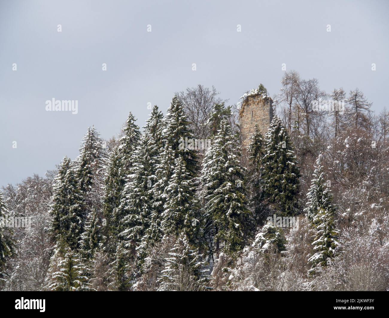 An old Castle behind frosted pine trees in North Italy Stock Photo - Alamy
