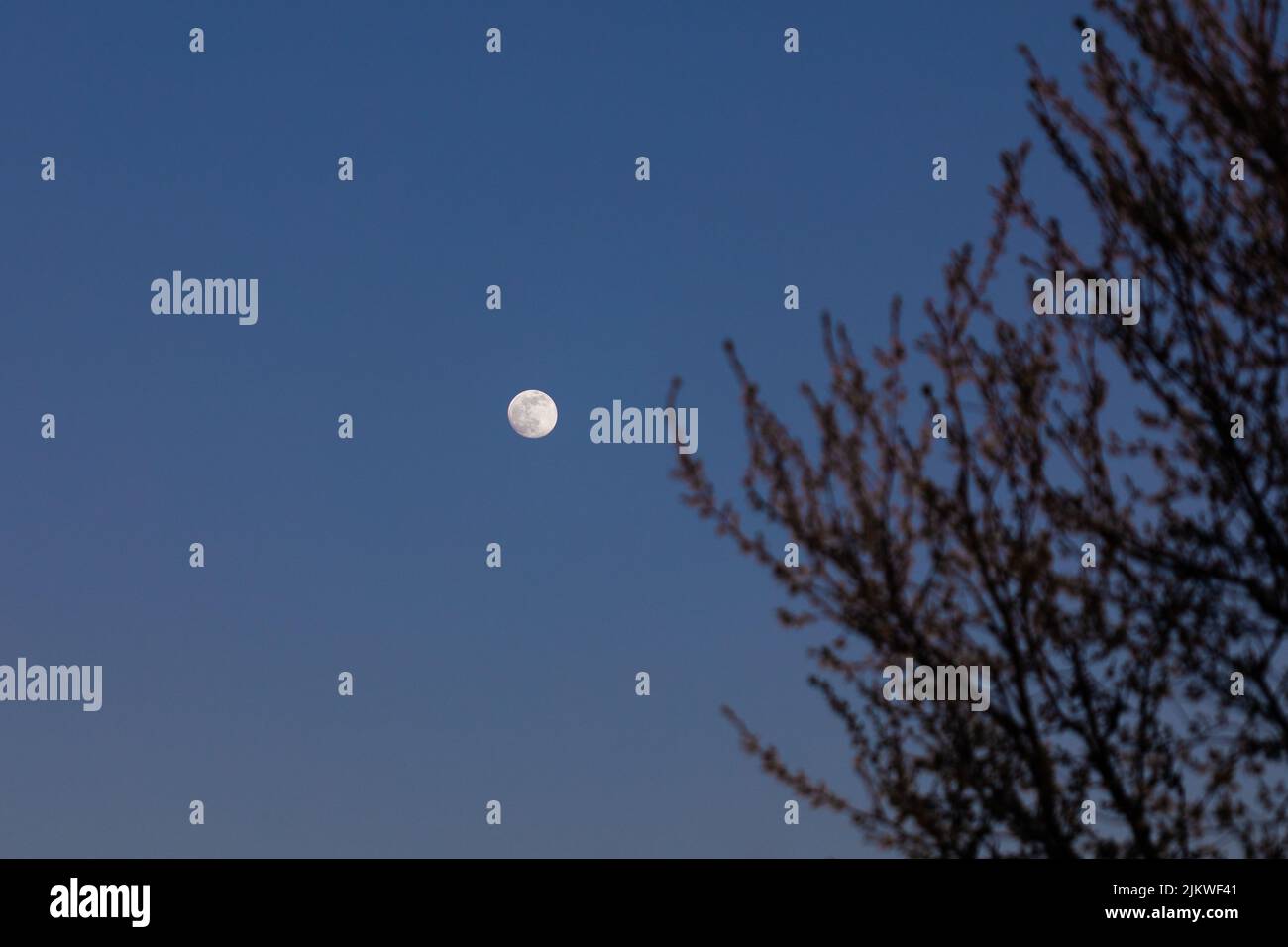 beautiful colored photograph of a spring object Stock Photo - Alamy