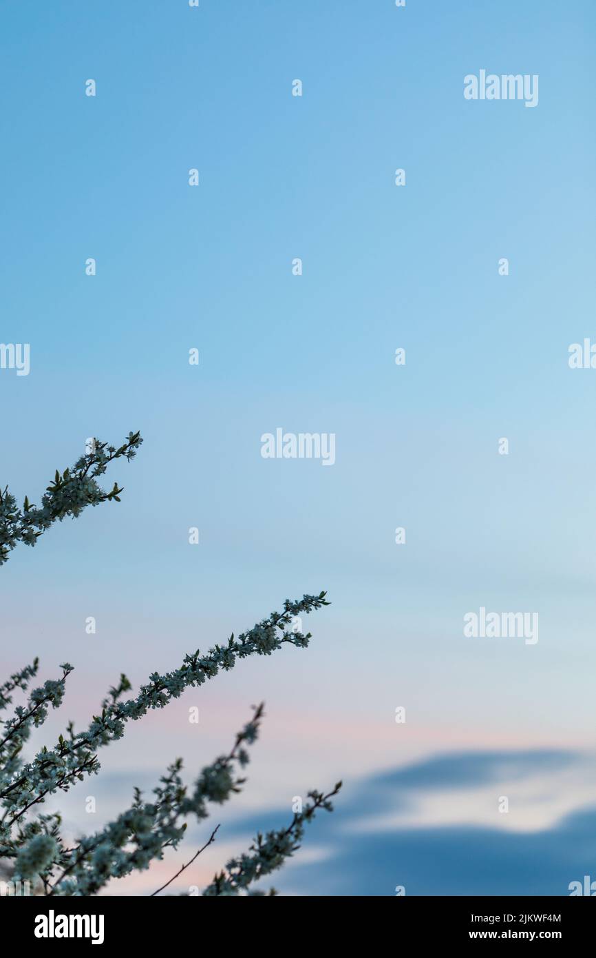 beautiful colored photograph of a spring object Stock Photo - Alamy