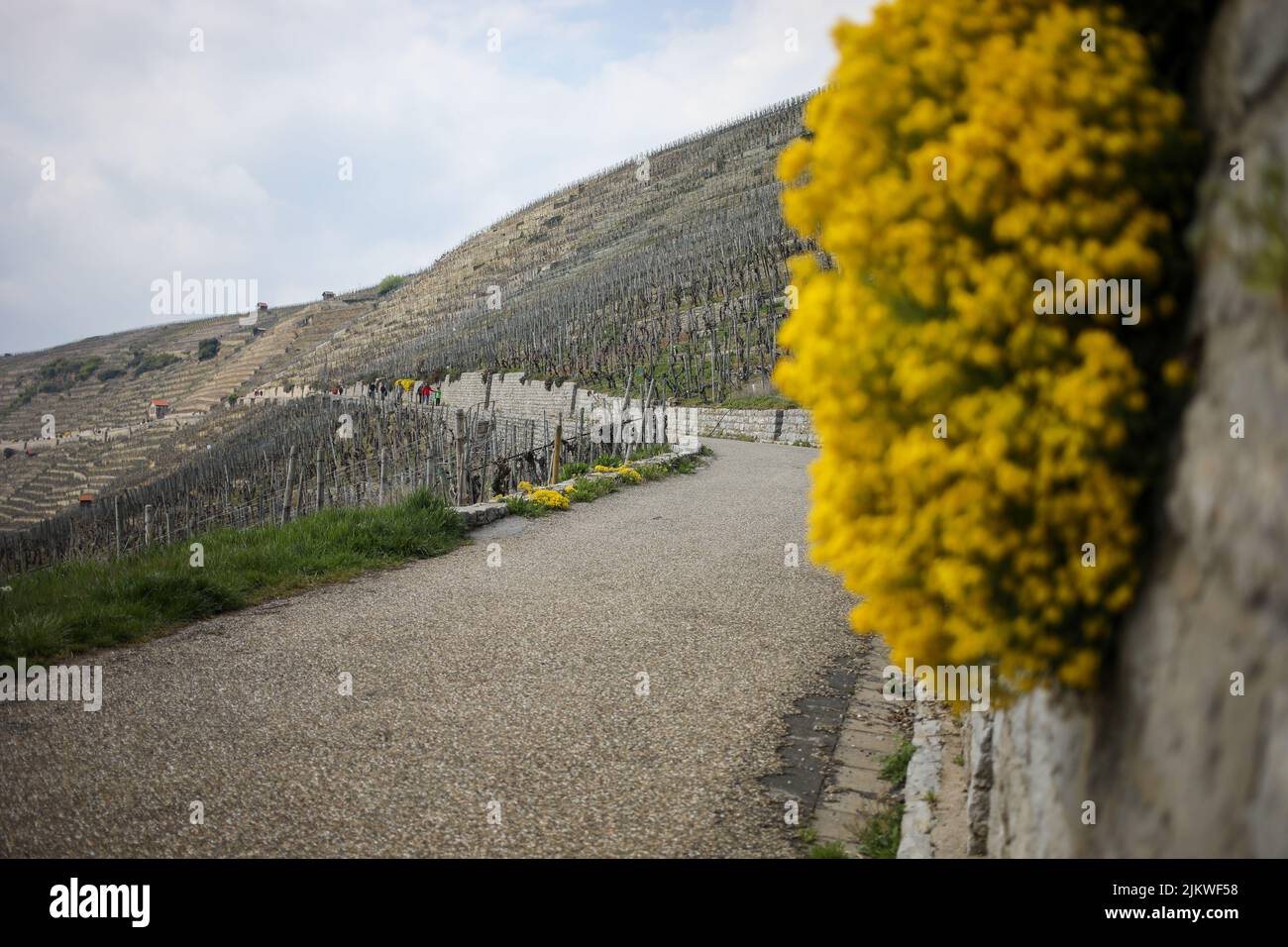 beautiful colored photograph of a spring object Stock Photo - Alamy
