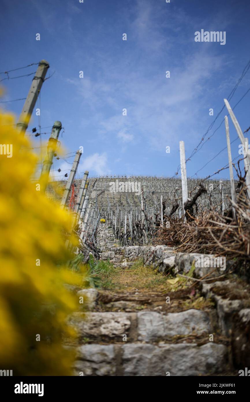 beautiful colored photograph of a spring object Stock Photo - Alamy